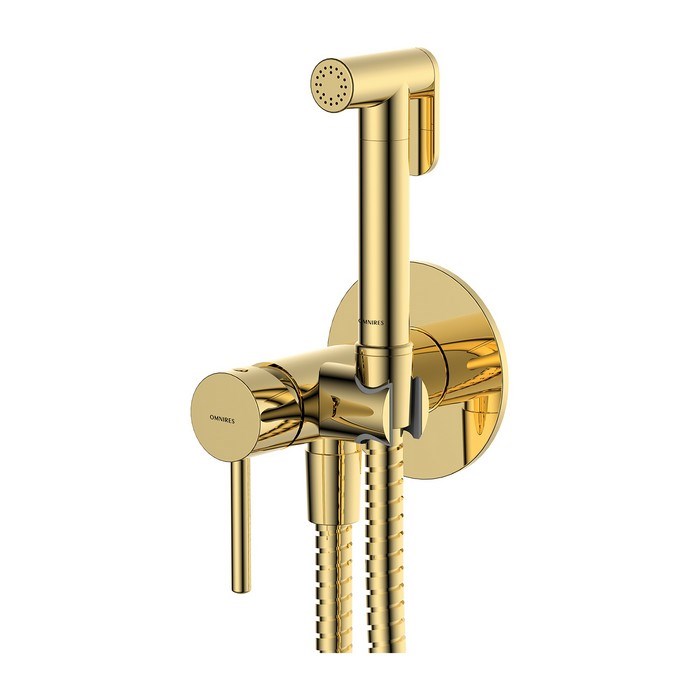 купить Гигиенический душ скрытого монтажа Omnires SYSYBI2GL в Москве